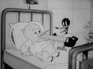 The Daffy Doc | Looney Tunes Wiki | Fandom