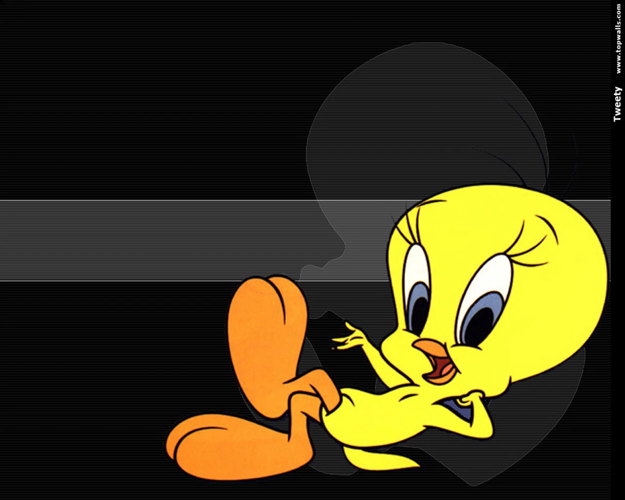 Image - Tweety-Bird-Wallpaper-tweety-bird-6041231-1280-1024.jpg ...