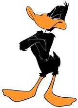 Pato Lucas | Looney Tunes Wiki | Fandom