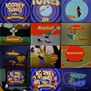 Nickelodeon | Looney Tunes Wiki | Fandom