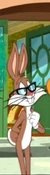 Rodney Rabbit | The Looney Tunes Show Wiki | FANDOM powered by Wikia