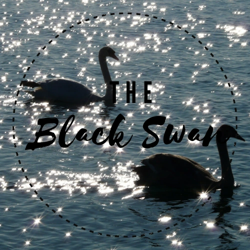 Black Swan | Lost Cities Keeper Wiki | Fandom