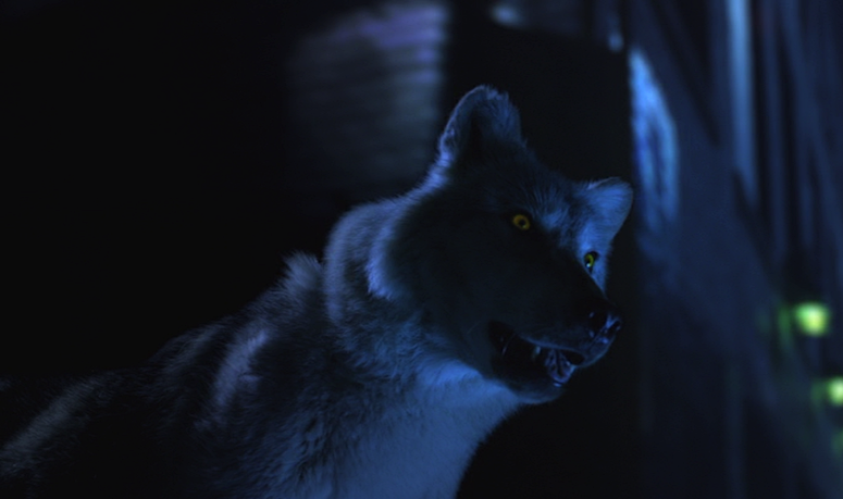 Wolf-Shifter | Lost Girl Wiki | FANDOM powered by Wikia