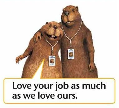 Bell Canada Beavers Ad Campaign | Lost Media Archive | FANDOM powered ...