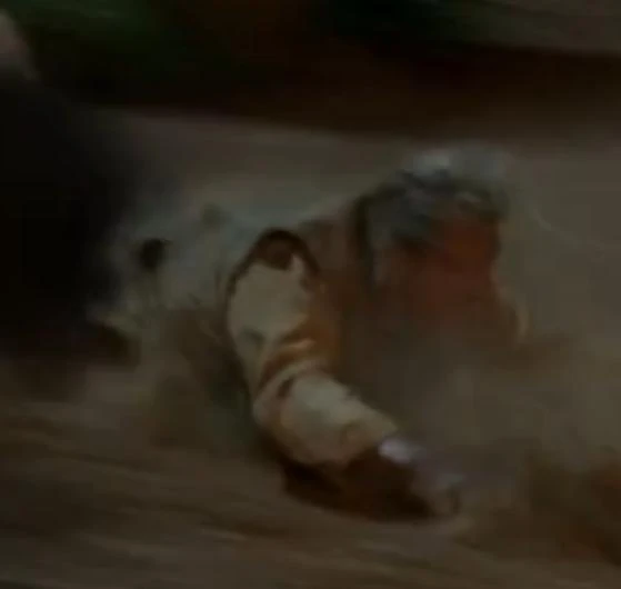 Screaming Other | Lostpedia | Fandom