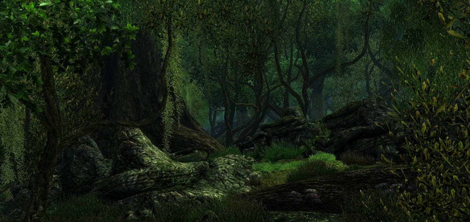 Fangorn Śródziemie Wiki Fandom Powered By Wikia