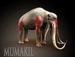Mûmakil | The One Wiki to Rule Them All | FANDOM powered by Wikia