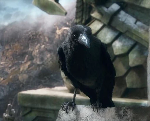 Roak | Śródziemie Wiki | Fandom