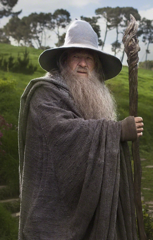 Bild - Gandalf in the Shire.jpg | Der Herr der Ringe Wiki | FANDOM ...