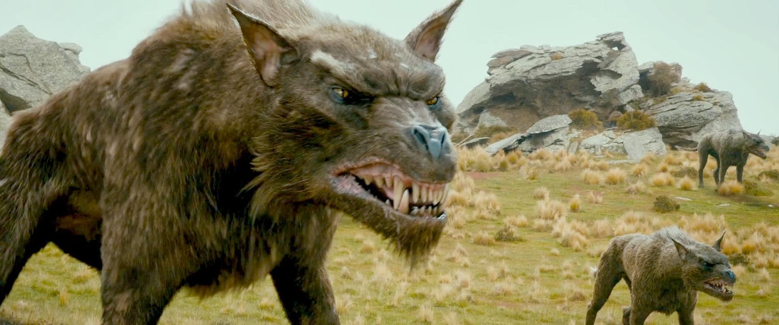 Wargowie Śródziemie Wiki Fandom Powered By Wikia