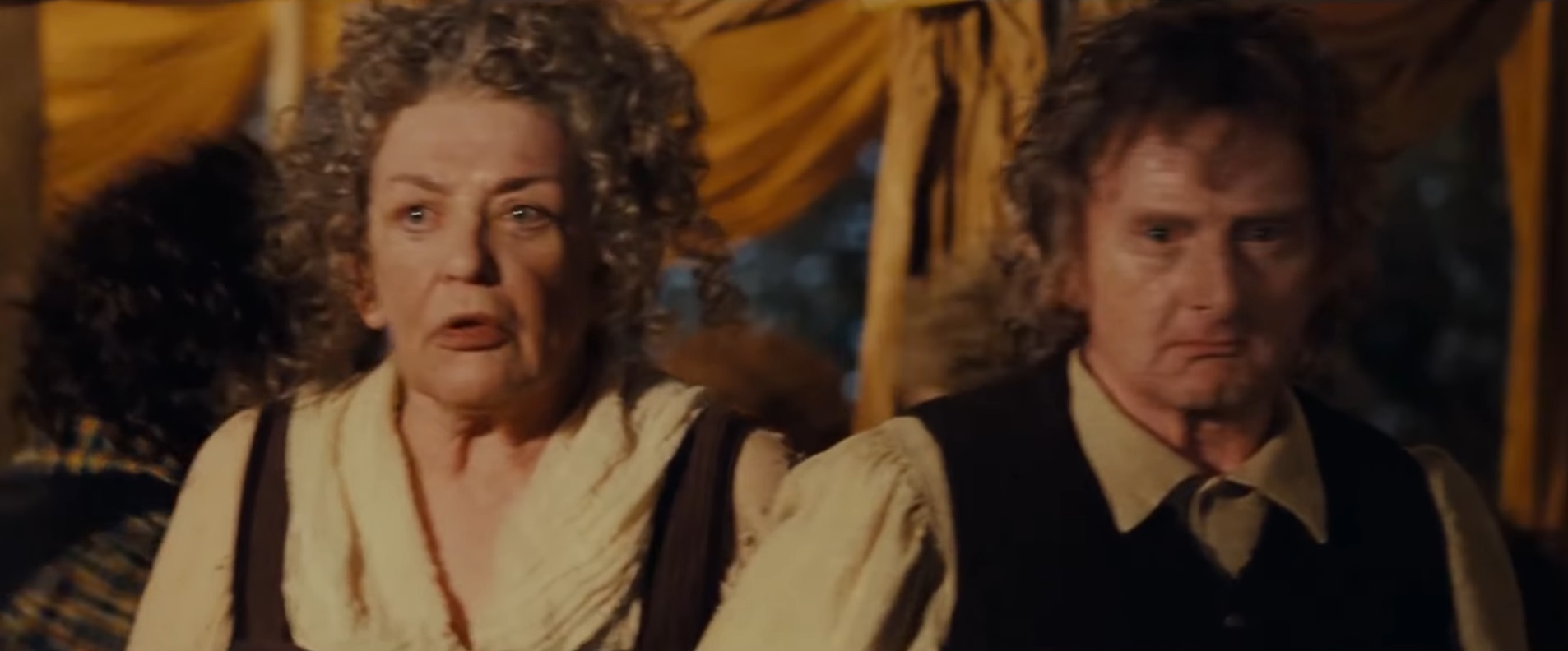 Sackville-Baggins | The One Wiki to Rule Them All | Fandom