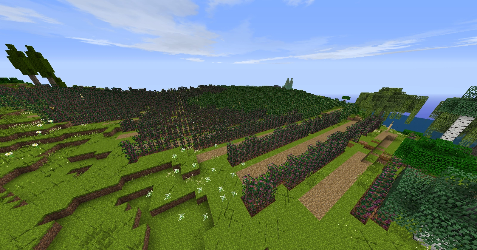 Grapes | The Lord of the Rings Minecraft Mod Wiki | FANDOM powered by Wikia