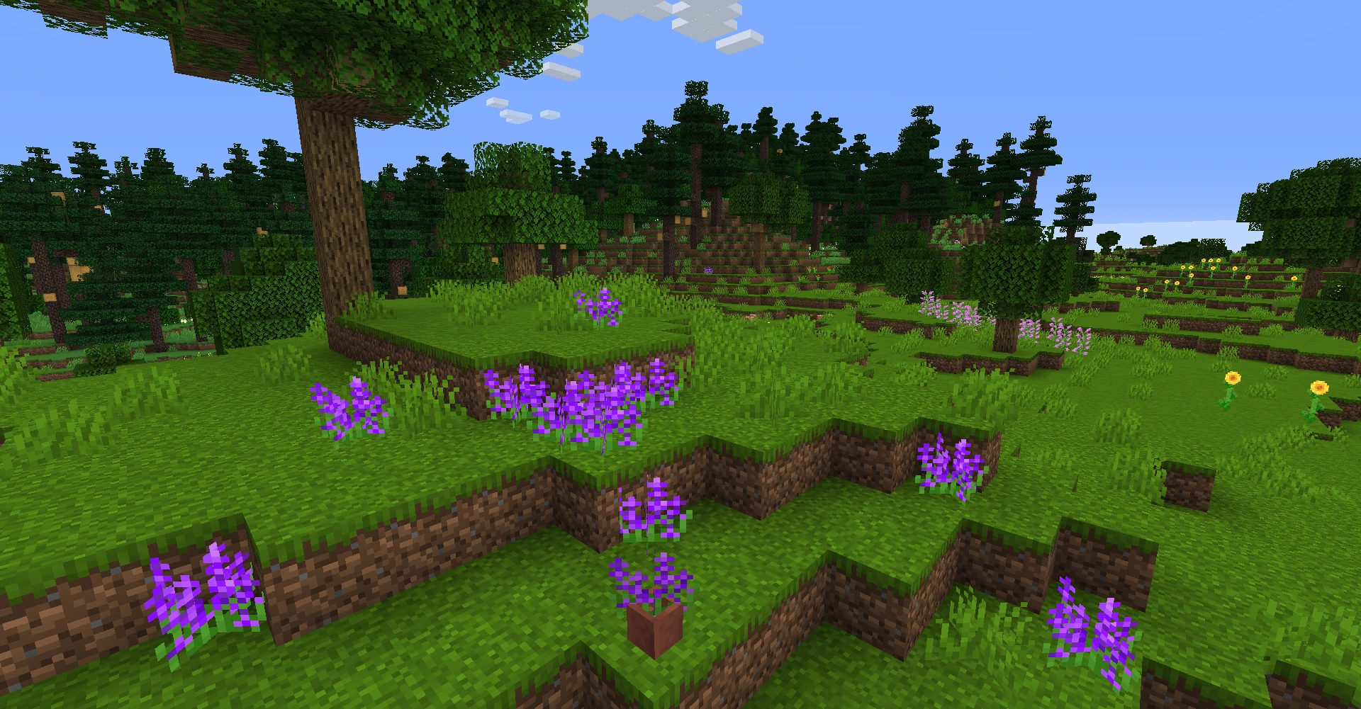 Lavender | The Lord of the Rings Minecraft Mod Wiki | Fandom