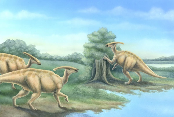 Parasaurolophus | Loveall231 Wikia | Fandom