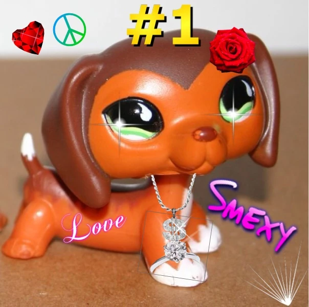 Lps: 675 dachshund | Littlest pet shop Wiki | FANDOM powered by Wikia