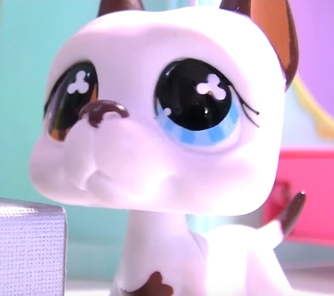 All LPS Popular Characters | Lpspopular Wiki | Fandom