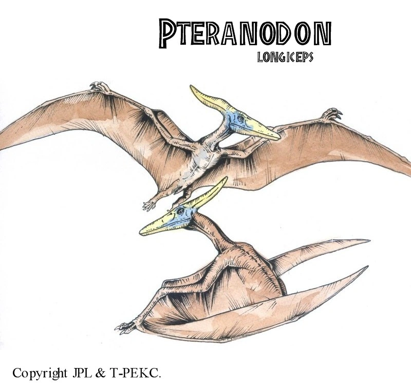 Pterosaurs of LTL | Live the Legend Wiki | FANDOM powered by Wikia