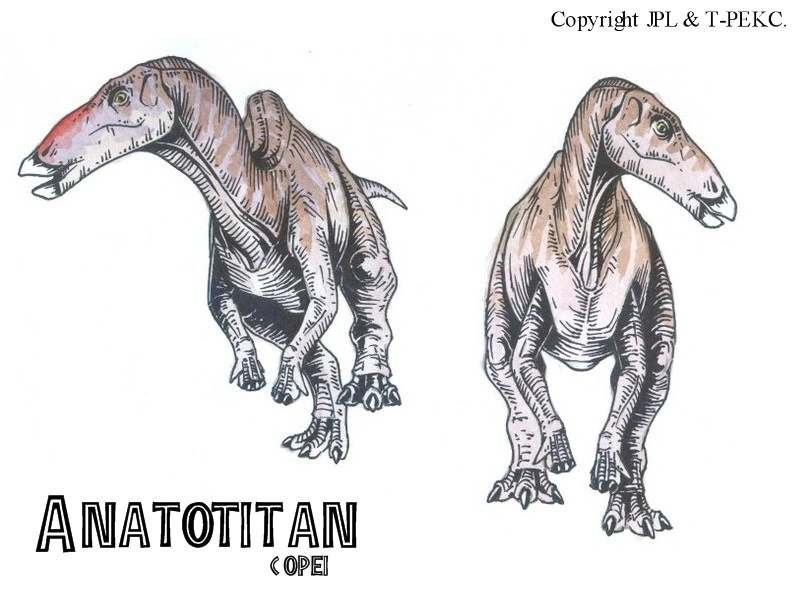 Hadrosaurids of LTL | Live the Legend Wiki | FANDOM powered by Wikia