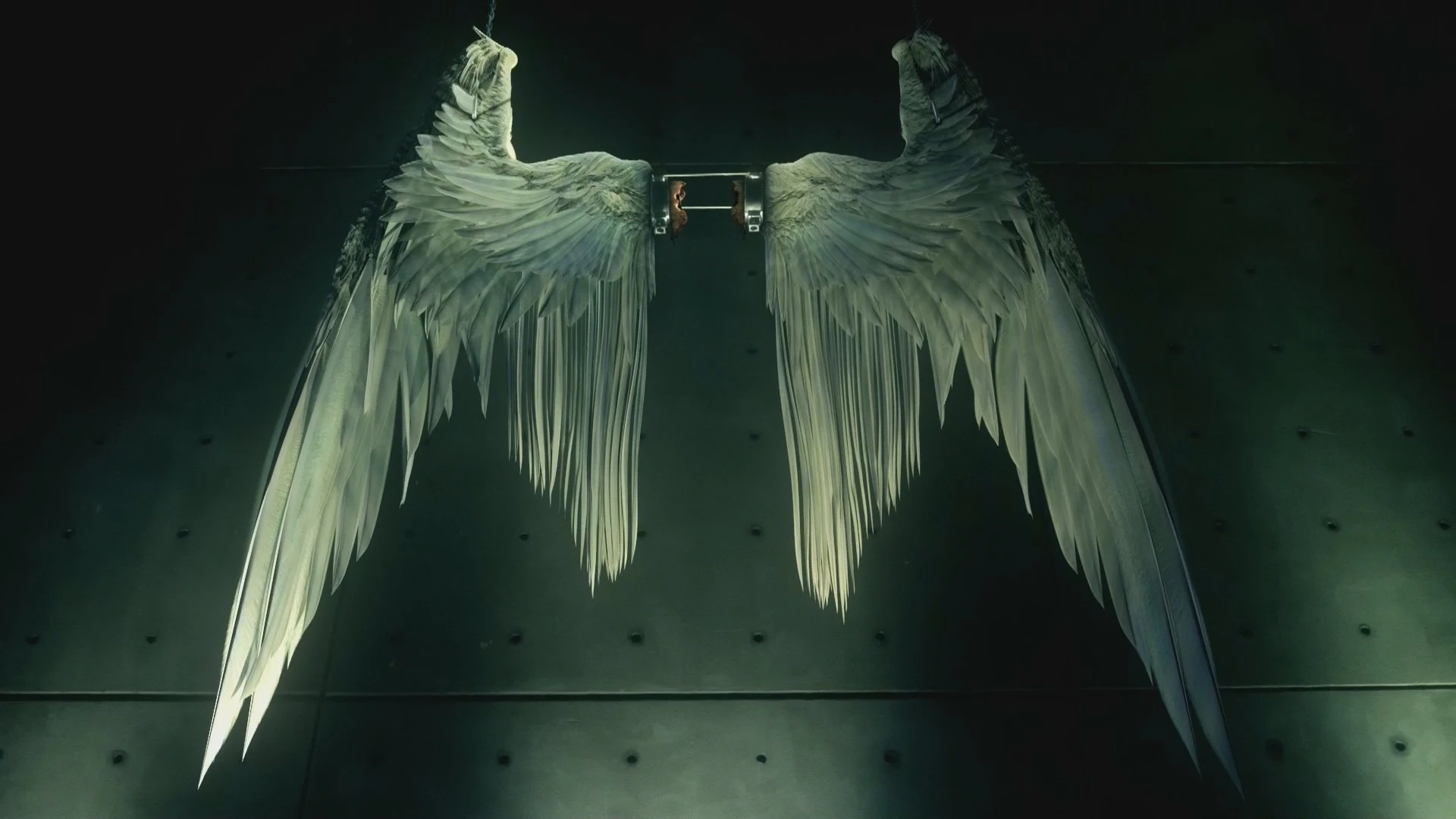 Image - 106 Lucifer's wings.jpg | Lucifer Wiki | FANDOM powered by Wikia