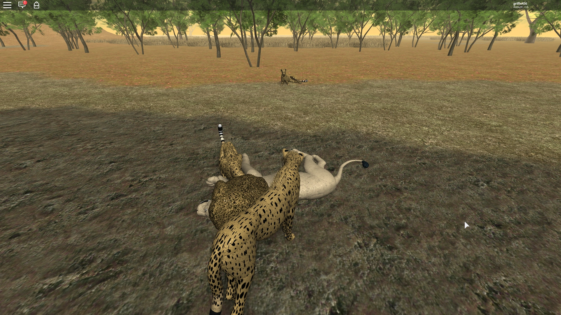 Cheetah/Gallery | ROBLOX Wild Savannah wiki | Fandom