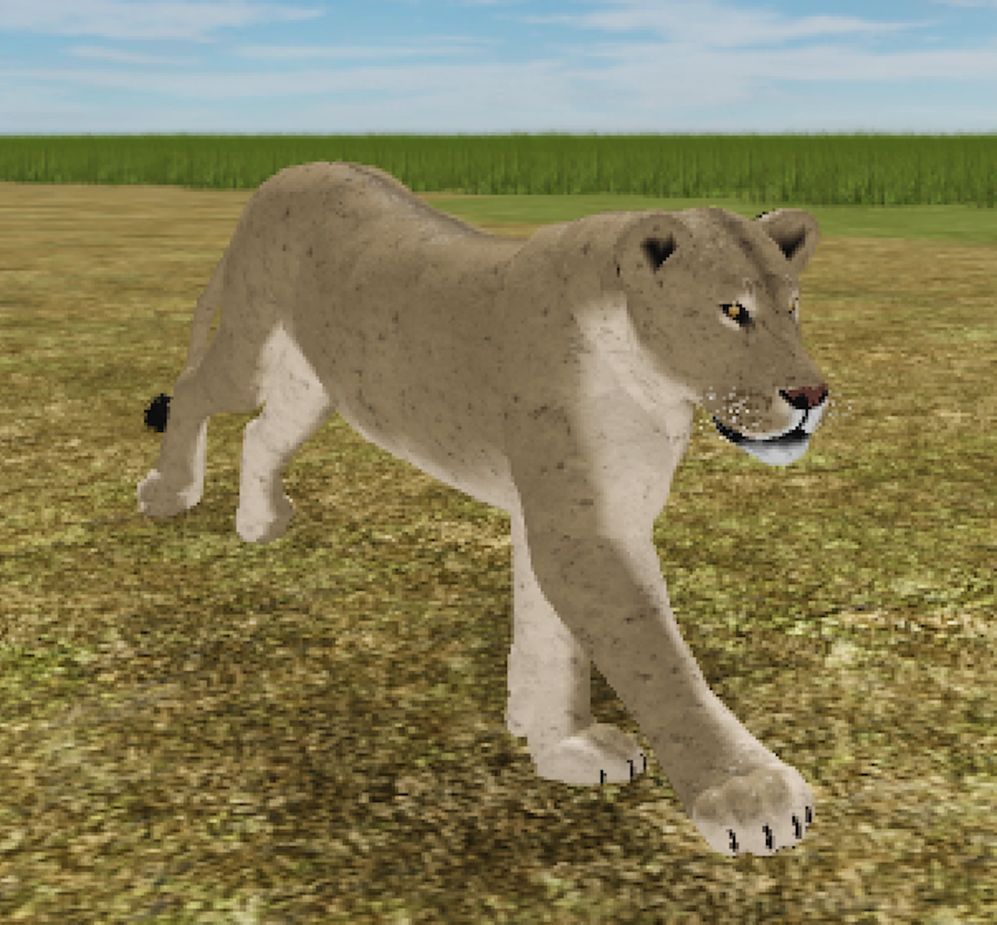 African Lion | ROBLOX Wild Savannah wiki | Fandom