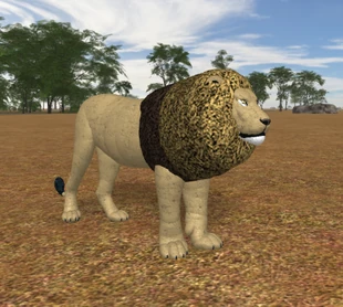African Lion | ROBLOX Wild Savannah wiki | FANDOM powered by Wikia