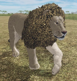 African Lion | ROBLOX Wild Savannah wiki | Fandom