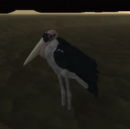 Marabou Stork | ROBLOX Wild Savannah wiki | Fandom