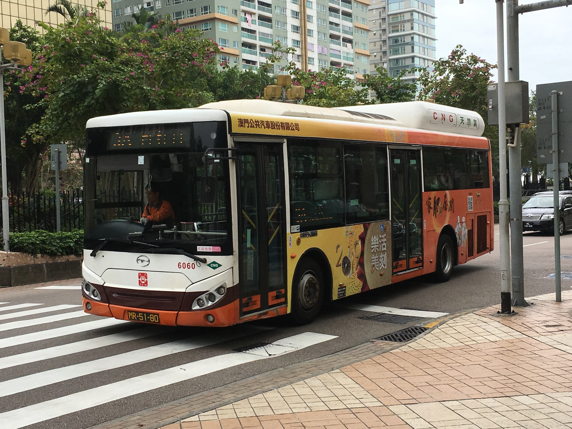 3A線 | 澳門巴士大典 Wiki | Fandom