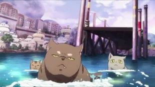 Mercat | Macross Wiki | Fandom