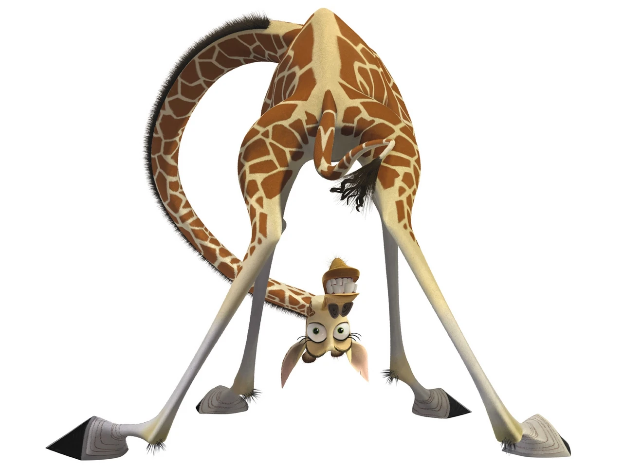 Melman | Madagaskarr Wiki | FANDOM powered by Wikia