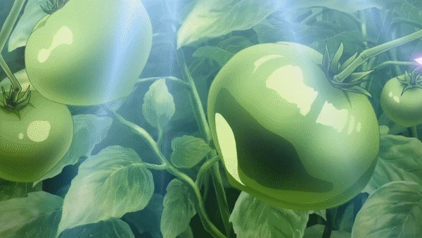 Rukh | Magi Wiki | Fandom