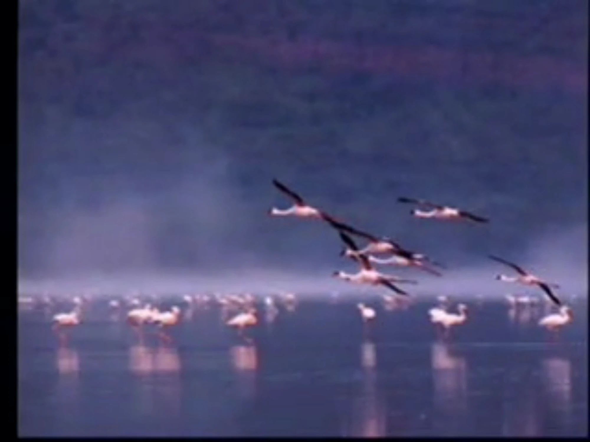 Image - IMG 6585.PNG | Magic Sing Wiki | FANDOM powered by Wikia