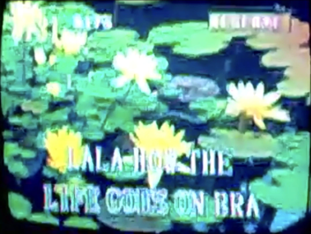 Image - 497CF132-C650-4295-9AC6-573084530BFE.jpeg | Magic Sing Wiki ...