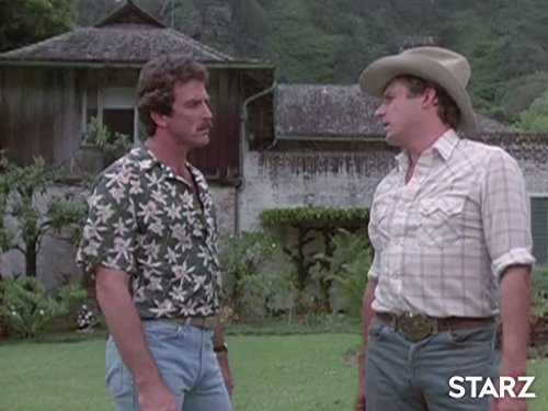 Billy Joe Bob | Magnum, P.I. Wiki | Fandom