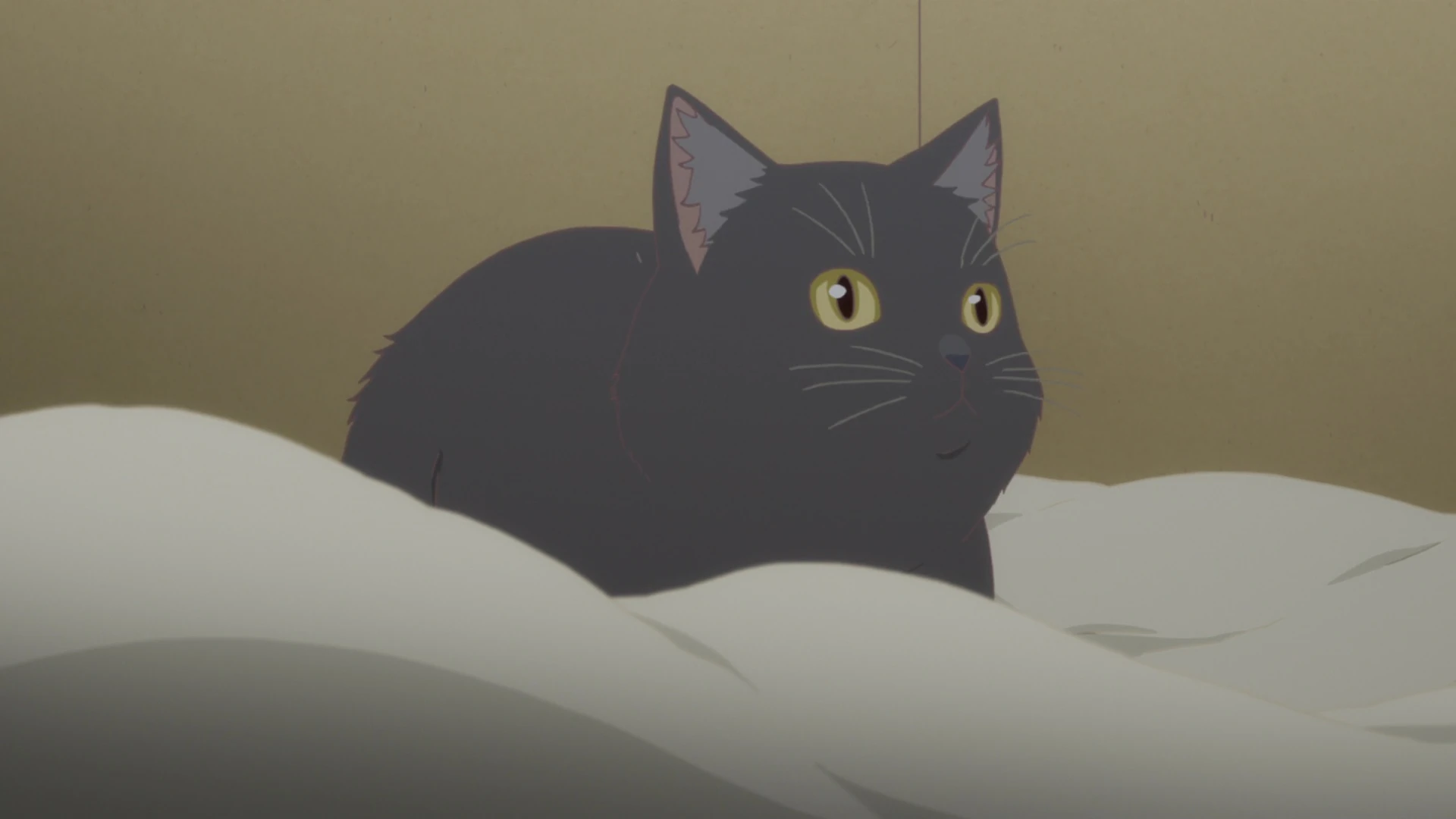 Daru | Makoto Shinkai Wiki | Fandom