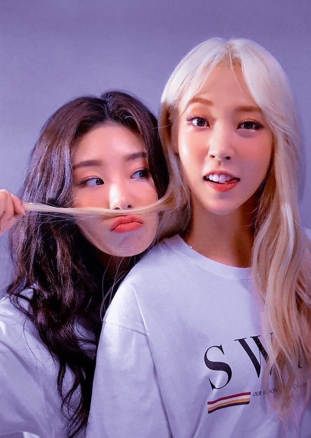 Wheebyul Mamamoo Wiki Fandom