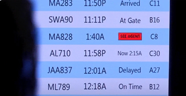 Montego Air Flight 828 | Wiki Manifest | Fandom