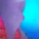 FROOT design pack | Marina Wiki | Fandom