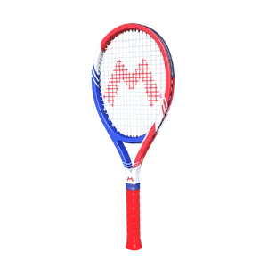 Tennis racket | MarioWiki | Fandom