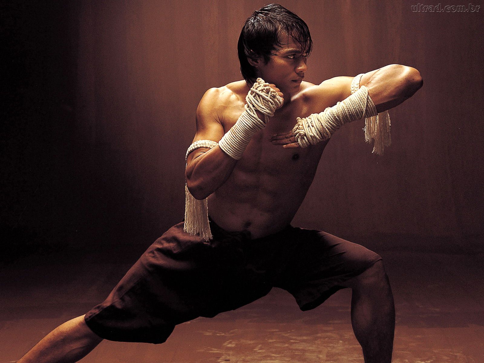 Image 113606 Papel De Parede Ong Bak Guerreiro Sagrado Ong Bak Muay Thai Warrior 113606