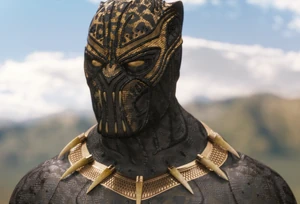 N'Jadaka | Marvel Cinematic Universe Wiki | Fandom