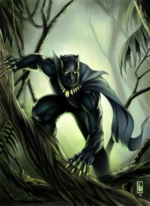 T'Challa | Marvel Comics Wiki | Fandom