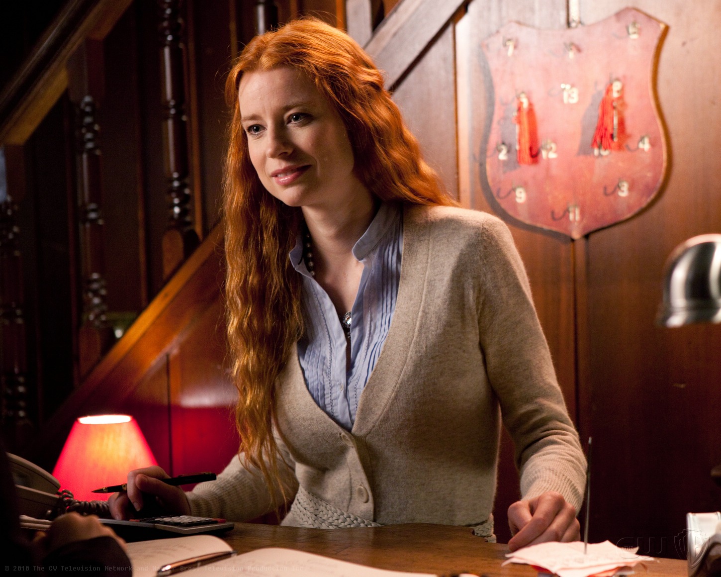 Maggie Mcdougal Smallville Dc Database Fandom Powered By Wikia