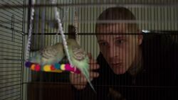 Lewis Wilson | Marvel Cinematic Universe Wiki | FANDOM powered by Wikia