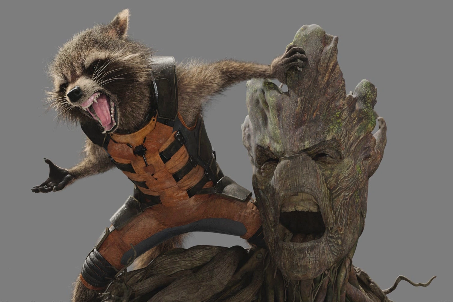 Image - Rocket Raccoon 2.png | Marvel Cinematic Universe Wiki | FANDOM ...