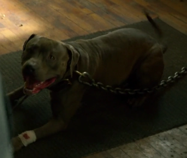 Max | Marvel Cinematic Universe Wiki | FANDOM powered by Wikia