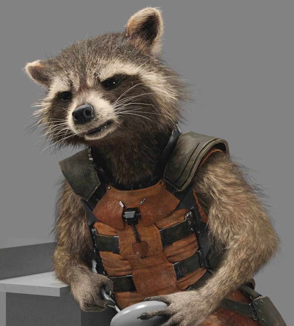 Image - Rocket3-GotGBR.png | Marvel Cinematic Universe Wiki | FANDOM ...