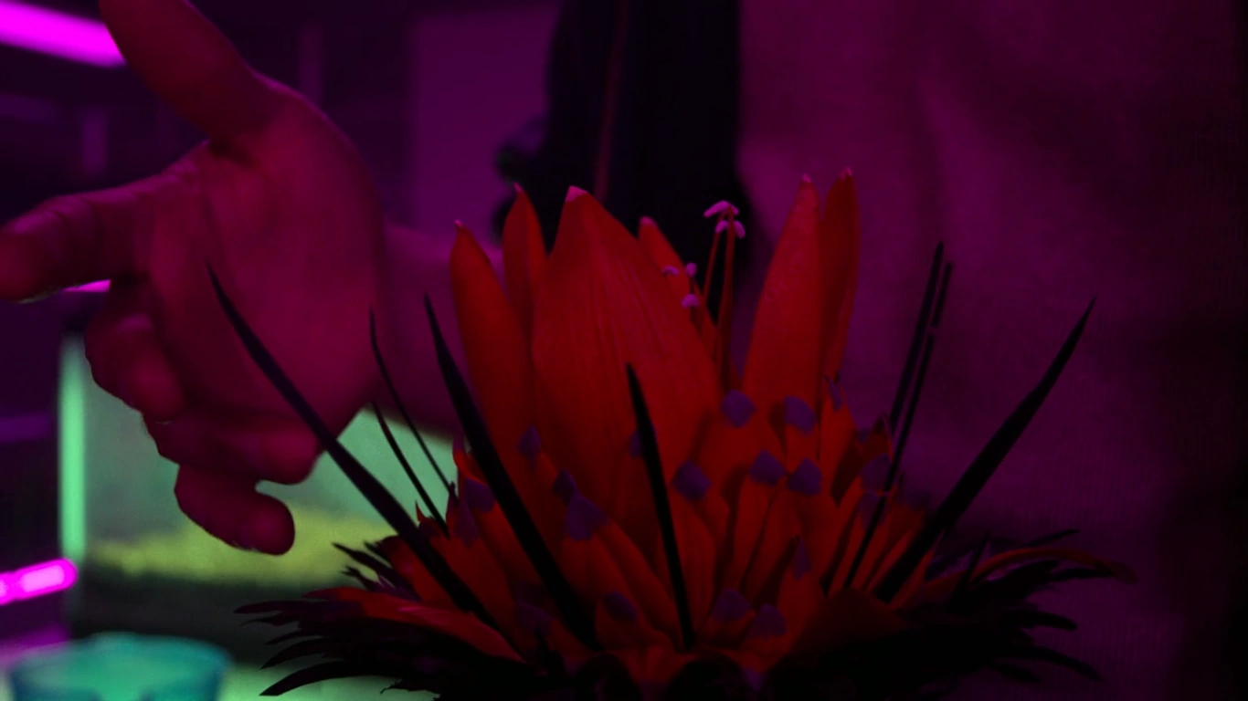 Nightshade | Marvel Cinematic Universe Wiki | FANDOM powered by Wikia