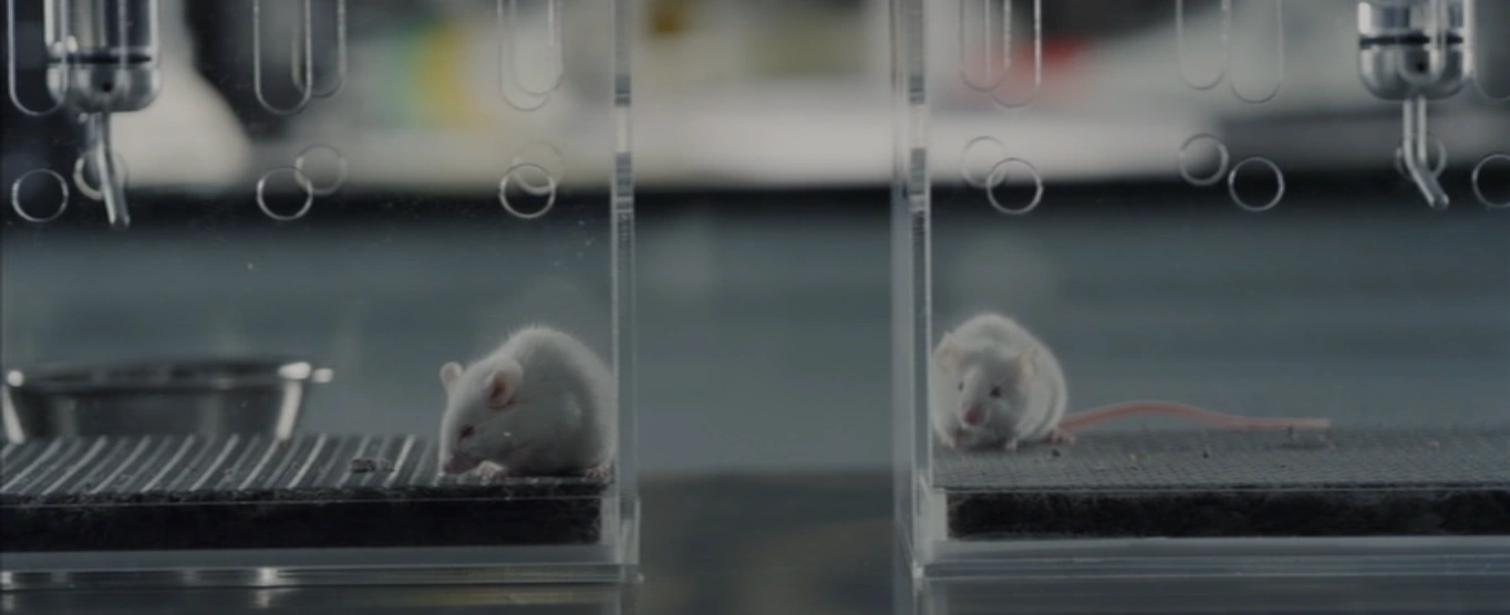 Wilma | Marvel Movies | Fandom